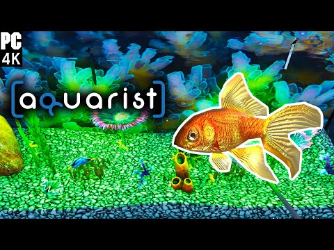 Steam Community :: Video :: BEST AQUARIUM GAME EVER MADE! | Aquarist