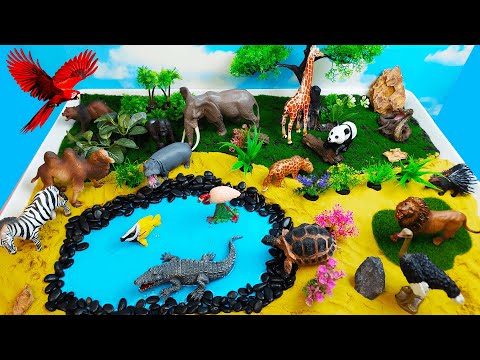 Meet Wild Animals-Diorama DIY-Fun Facts about nature and drawing - educational video for kids