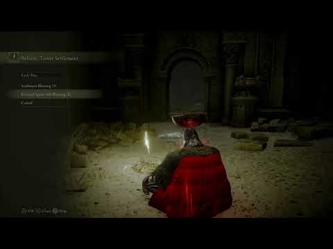 Shadow Realm Blessing / Scadutree Blessing / Revered Spirit Ash Blessing - Explained - Elden Ring
