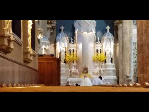 Pange lingua gloriosi corporis mysterium (in English)