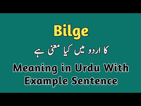 Bilge meaning in urdu/hindi