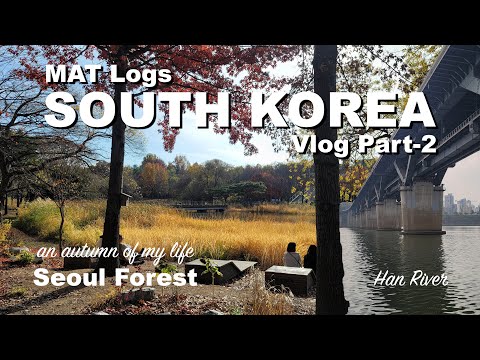 SOUTH KOREA VLOG | Seoul Forest | Han River | Sebitseom Floating Island MAT LOGS | MATNAHS