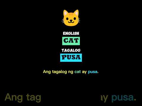 Cat - Pusa 🐱 | English Tagalog #translation