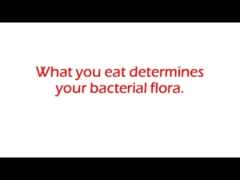What you eat determines your bacterial flora