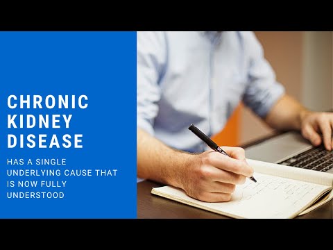The Chronic Kidney Disease Solution Review 2020 - by Shelley manning