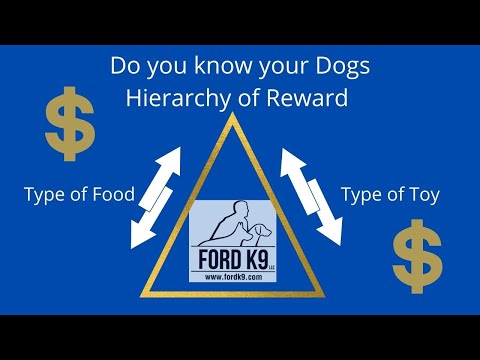 Do you know your Dog's Hierarchy Of Reward