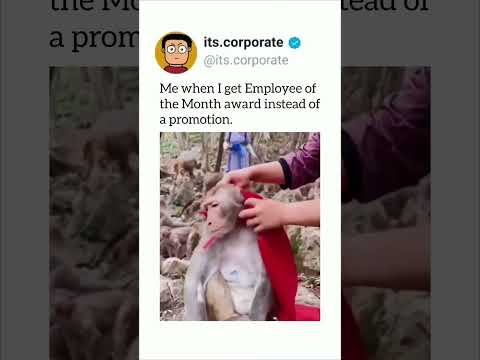 Award instead of promotion | #memes #employeefirst #funnymeme #manager #funny #humormeme #duet #meme
