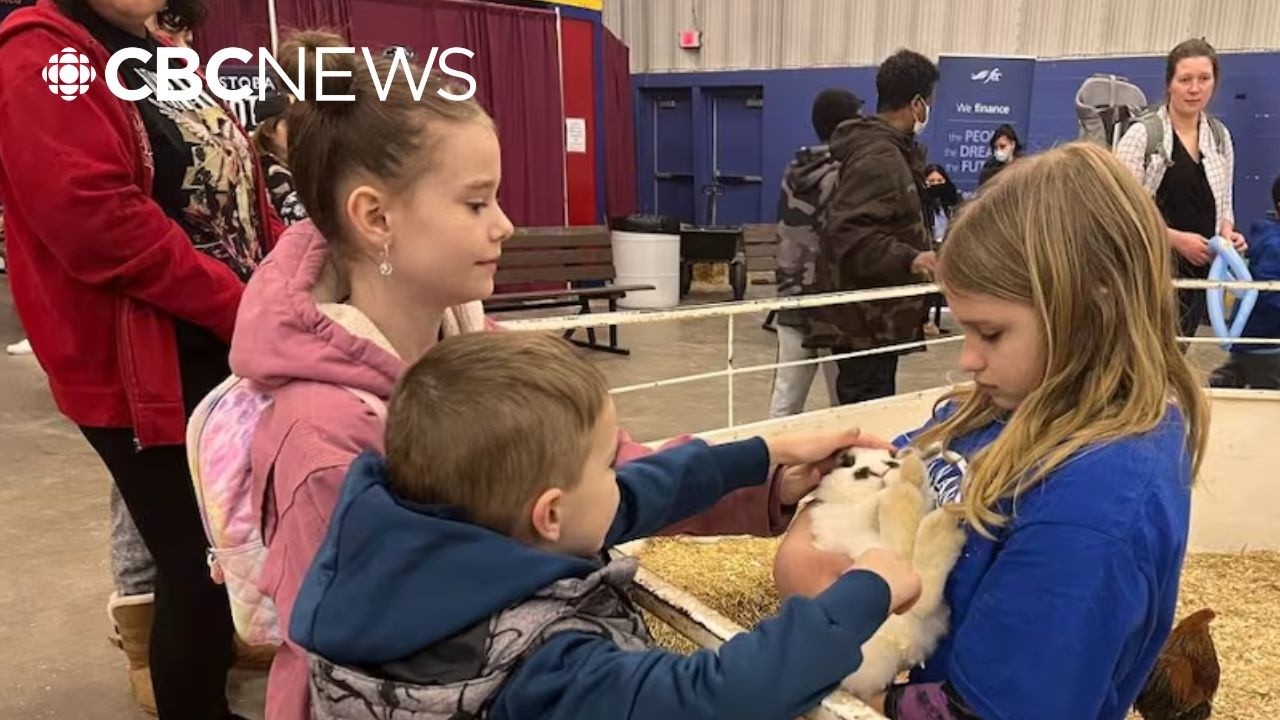 Brandon's upcoming winter fair raises concerns about measles spread