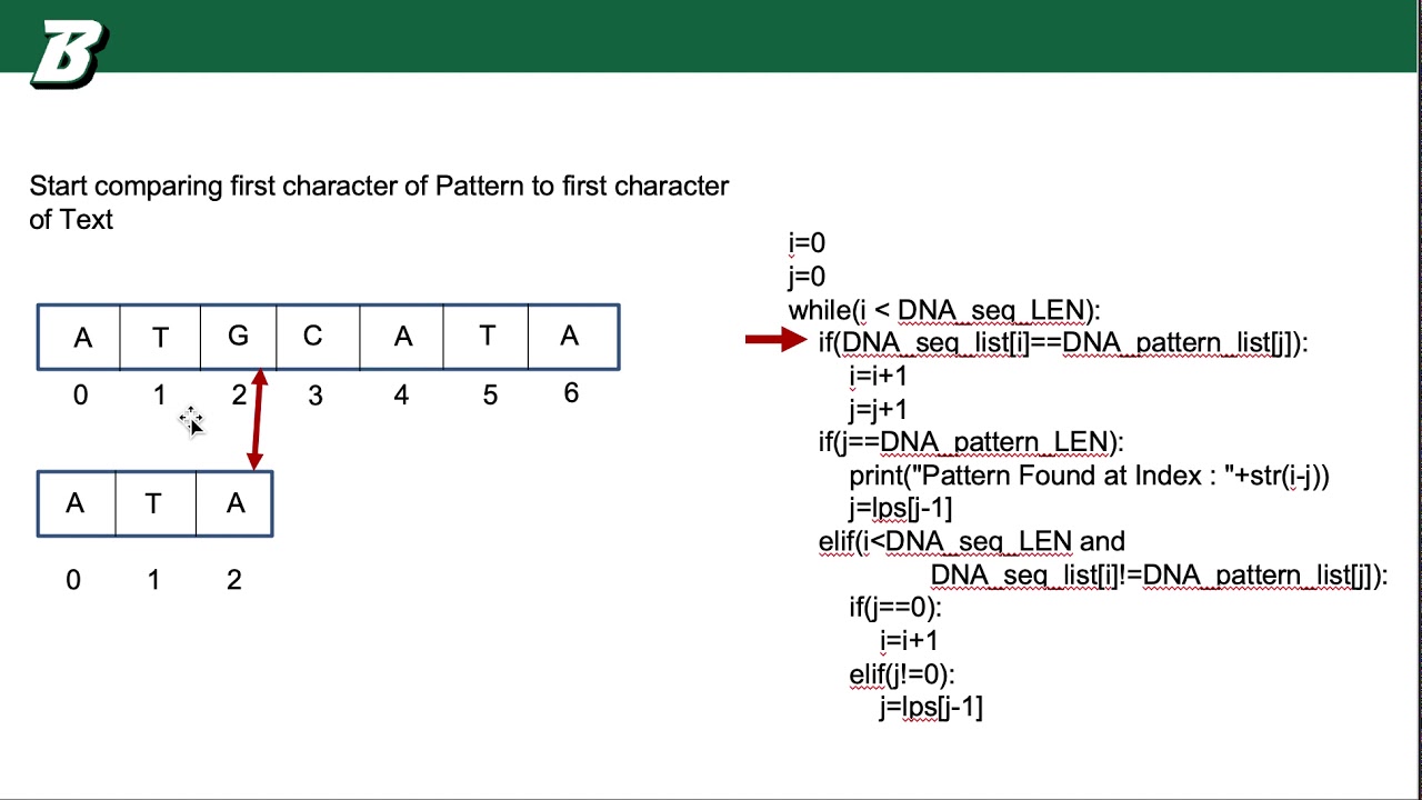 DNA Pattern Matching Algorithms