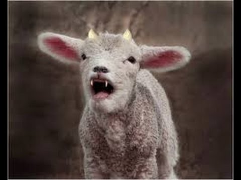 Revelation Beast of the Earth | Dr. Anthony Raimondo