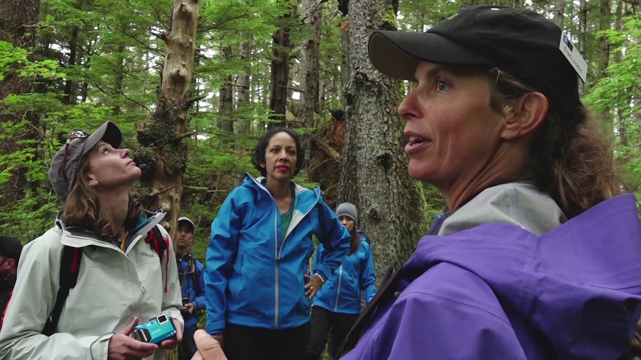 Temperate Rainforest Hike  | Alaska | Lindblad Expeditions-National Geographic