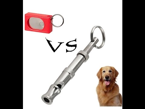 Dog Clicker VS Dog Whistle Difference between both in hindi/urdu