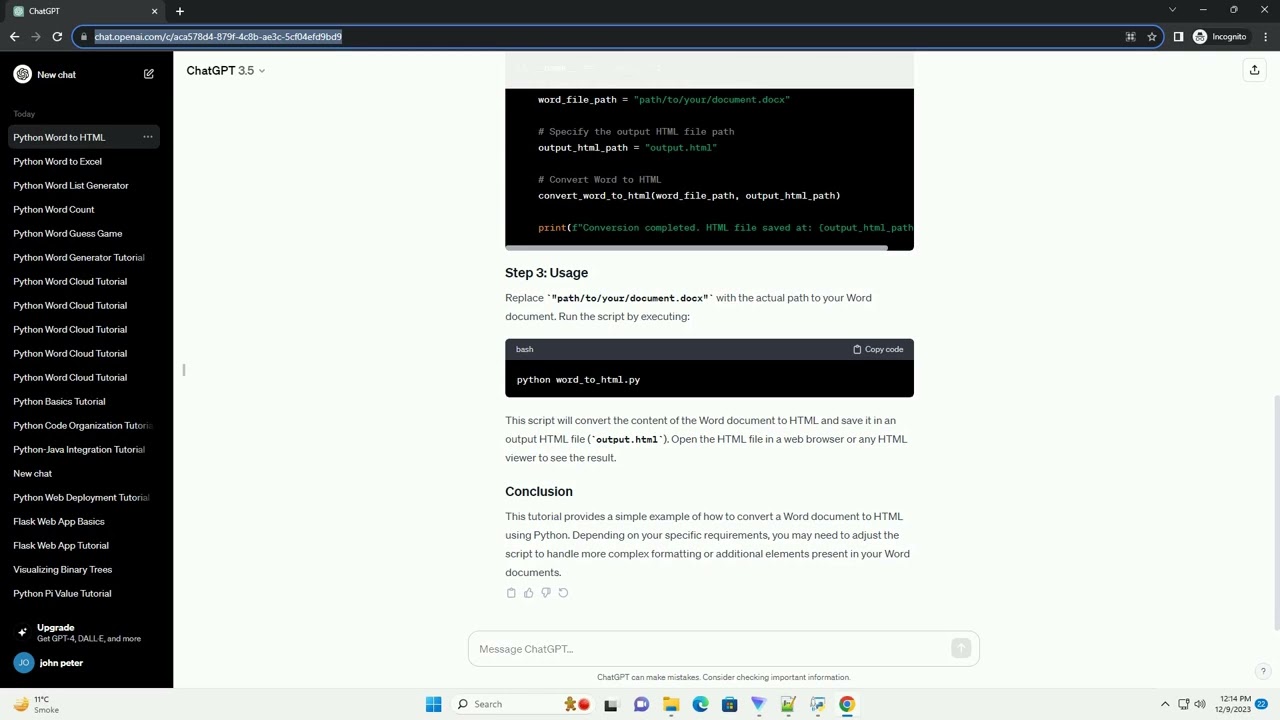 python word to html