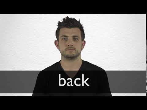 Italian Translation of “BACK” | Collins English-Italian Dictionary