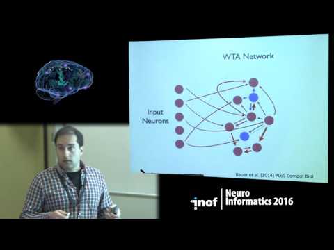 Roman Bauer - Detailed computational modeling of brain development