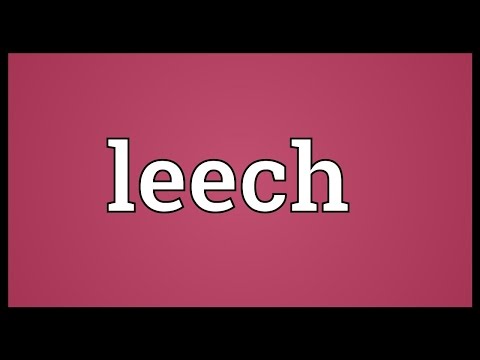 Leech Meaning