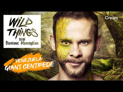 Giant Centipede | Wild Things with Dominic Monaghan (Season 1 Episode 2) | FULL EPISODE