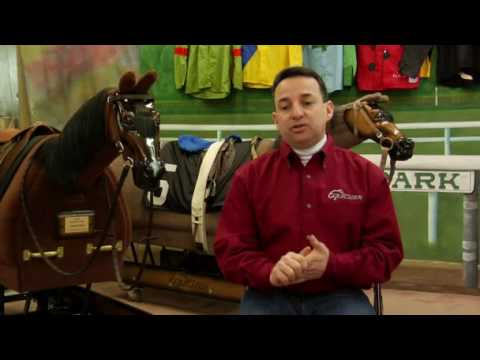 Typical Day for a Horse Trainer