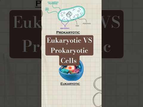 Prokaryotic and Eukaryotic Cells #shorts #biology #cells #eukaryotic #prokaryotic #cellstructure