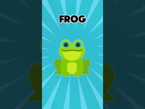 Kids Learning Letter F! | Phonics & Alphabet Adventure l kidergarten students vocabulary