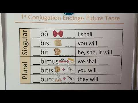 CC Cycle 2 week 5, 6, 17, 18 Latin 1st Conjugation Future Tense with English