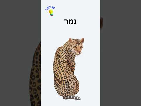Hebrew Letters for Kids: Learn the Letter נ (Nun) 📚 #hebrewforkids #learning #jewishlearning #עברית
