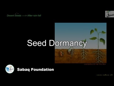 Seed Dormancy, Biology Lecture | Sabaq.pk