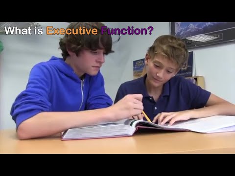 What Is Executive Function? - SMARTS Online Unit 1