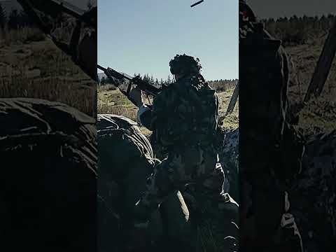 Irish Defence Forces