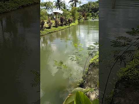 Kinaiyahan is also called Nature in English . What a lovely place