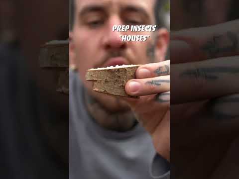 DIY insectenhotel! #shorts