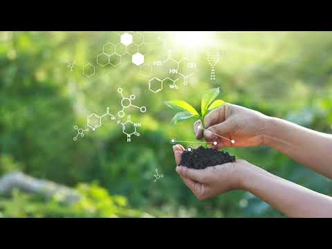 What is a Spectrometer?