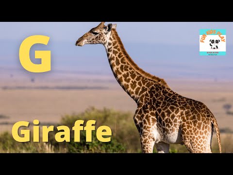 Five Words that Start with G | ABC | Alphabet