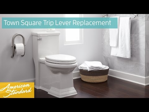 How to Replace a Trip Lever for a Town Square Toilet