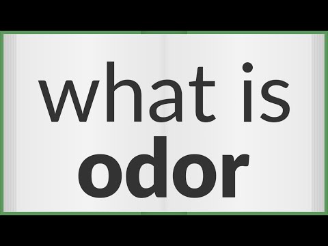 Odor | meaning of Odor