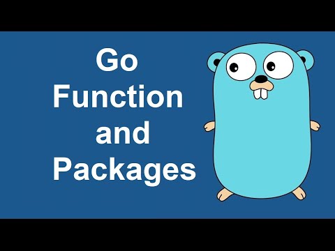go function | function in go | go package | package in go