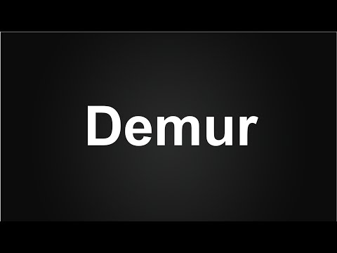 Demur Meaning in Urdu, How to Say Demur in English, Demur Meaning in Hindi