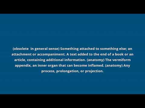 what is the meaning of appendix