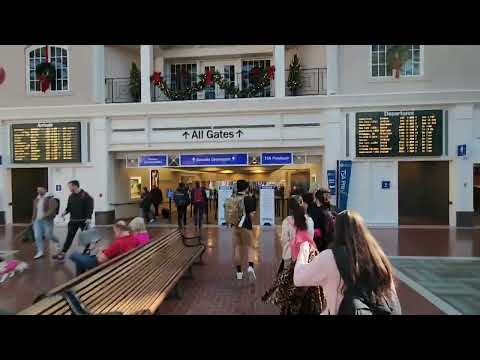 Flying Southwest out of Savannah Dec 23 2023