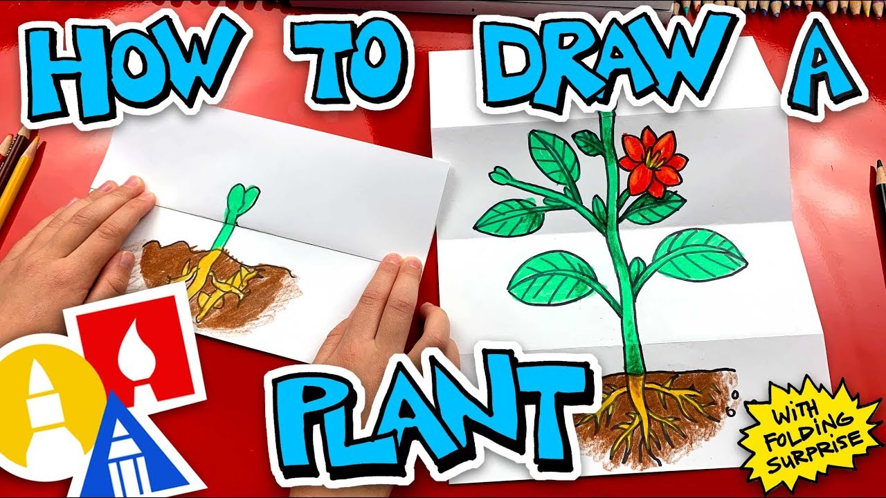 How To Draw A Plant With Folding Surprise