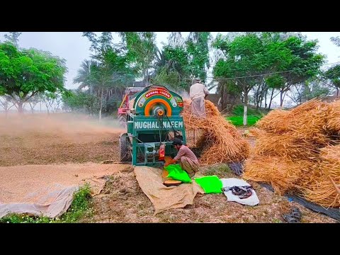 Thrasher Machine | Amazing Village Life Vlog | June 2025