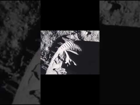 Who took a photo of Neil Armstrong landing on the moon?What type of camera captured