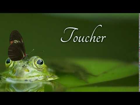 How to pronounce toucher in French