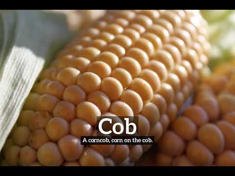 How to Say Cob in English? | What is Cob? | How Does Cob Look?