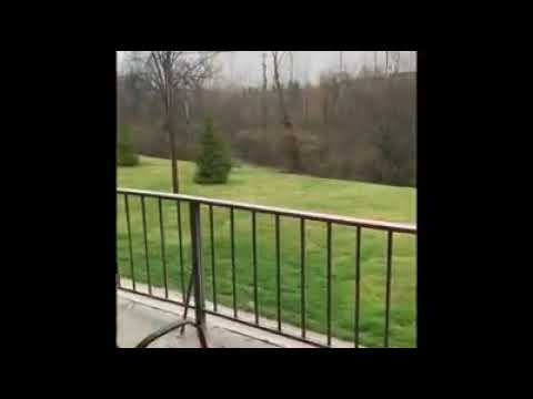 Lake of the Woods - 1 Bedroom/ 1 Bath A (631 sq ft)
