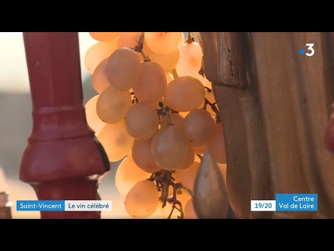 Le vin célébré pour la Saint-Vincent