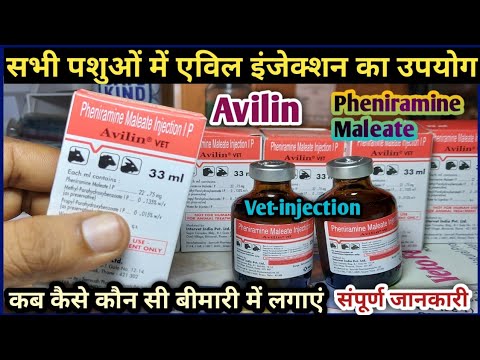 Pheniramine Maleate Injections - Avil Injection Latest Price ...