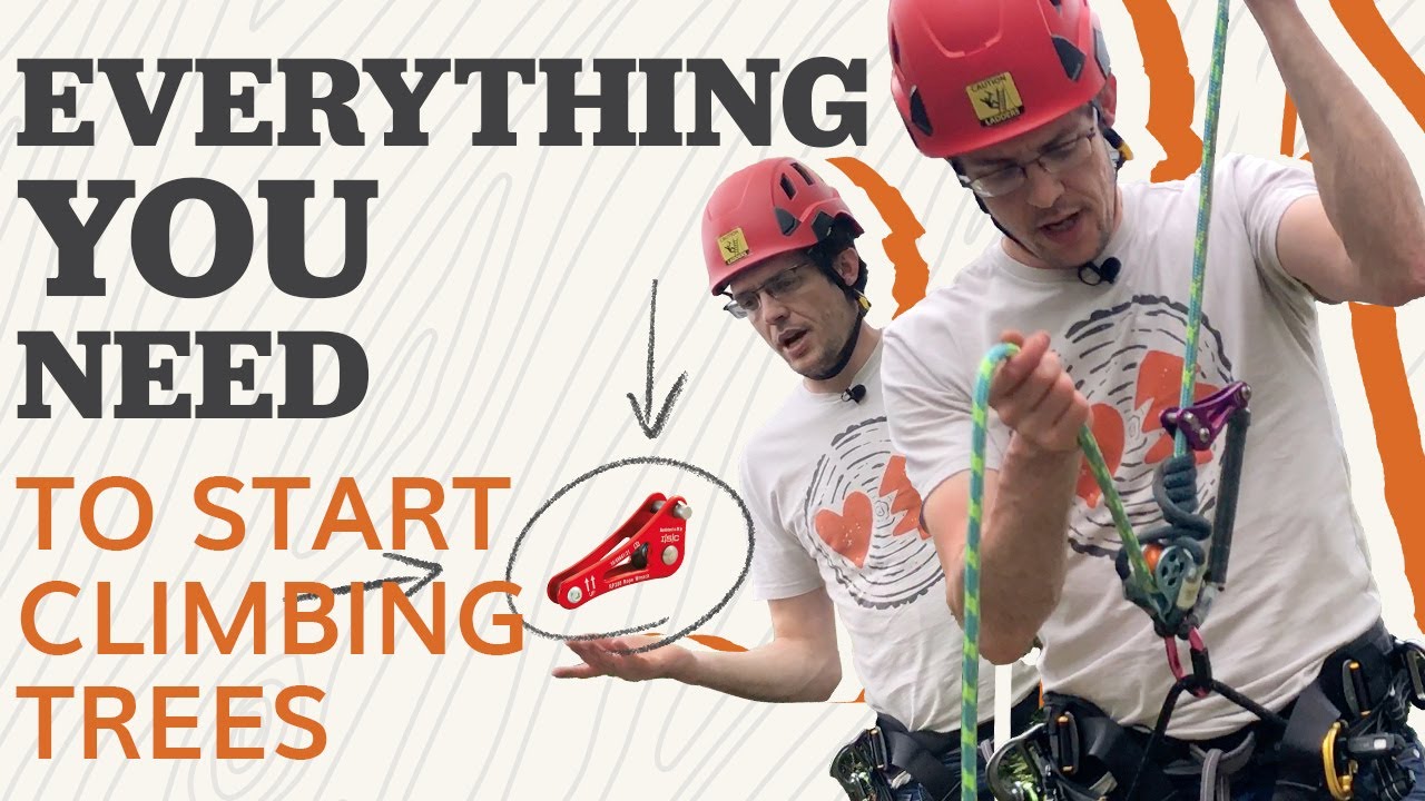 How to Pick the Best Gear for Tree Climbing