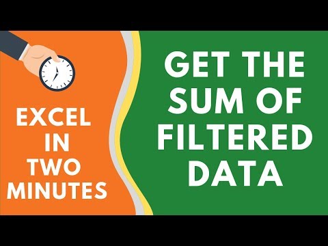 Get the Sum of Filtered Data in Excel (Using SUBTOTAL Formula)