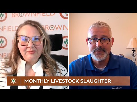 Dissecting beef cow slaughter numbers and what it could mean for the cattle cycle